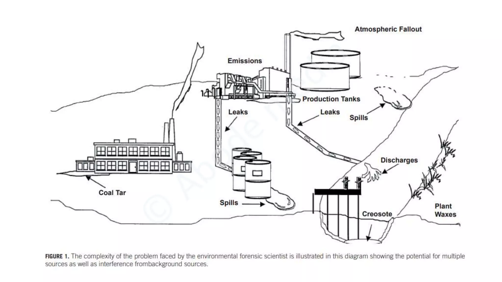 ENVIRONMENTAL FORENSICS.pptx