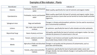 ENVIRONMENTAL FORENSICS.pptx