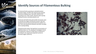 Environmental Genomics | PPT