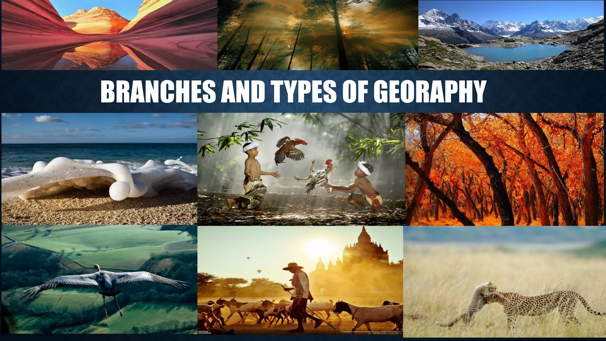 Environmental geography | PDF