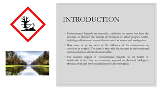 ENVIRONMENTAL HAZARD | PPTX