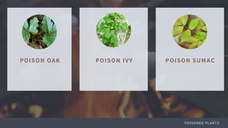 ENVIRONMENTAL HAZARDS.pdf