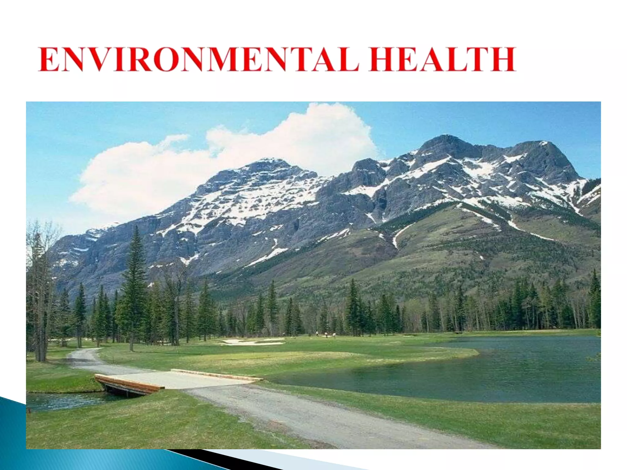 Environmental health | PPT