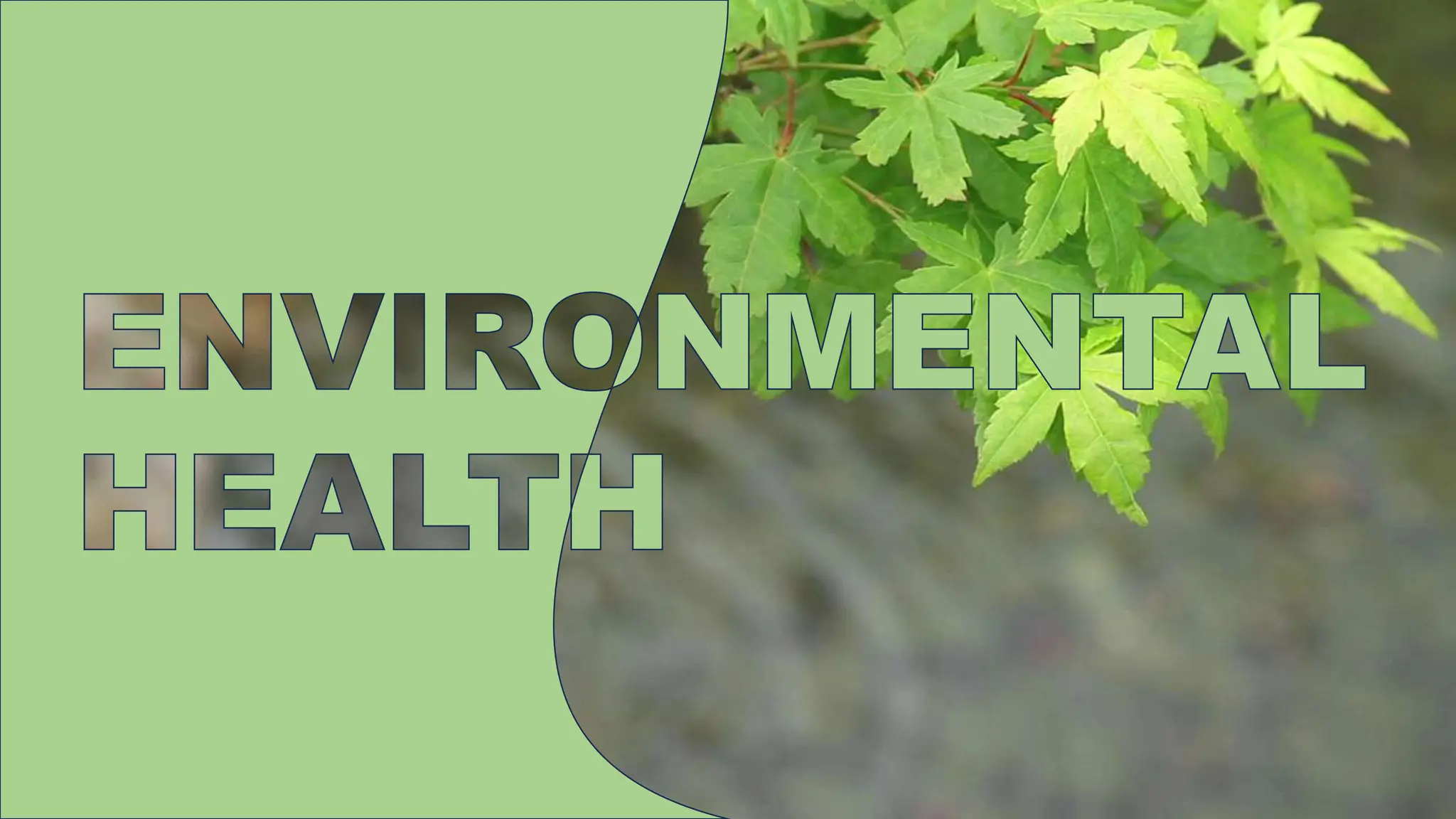 Environmental Health.pptx grade 9 health education | PPT