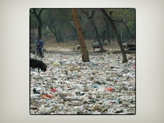 Environmental images | KEY