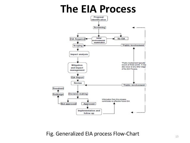 Environmental impact assessment