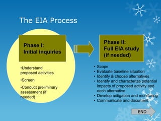 Environmental Impact Assessment | PPTX