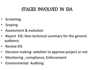 Environmental Impact Assignment | PPTX