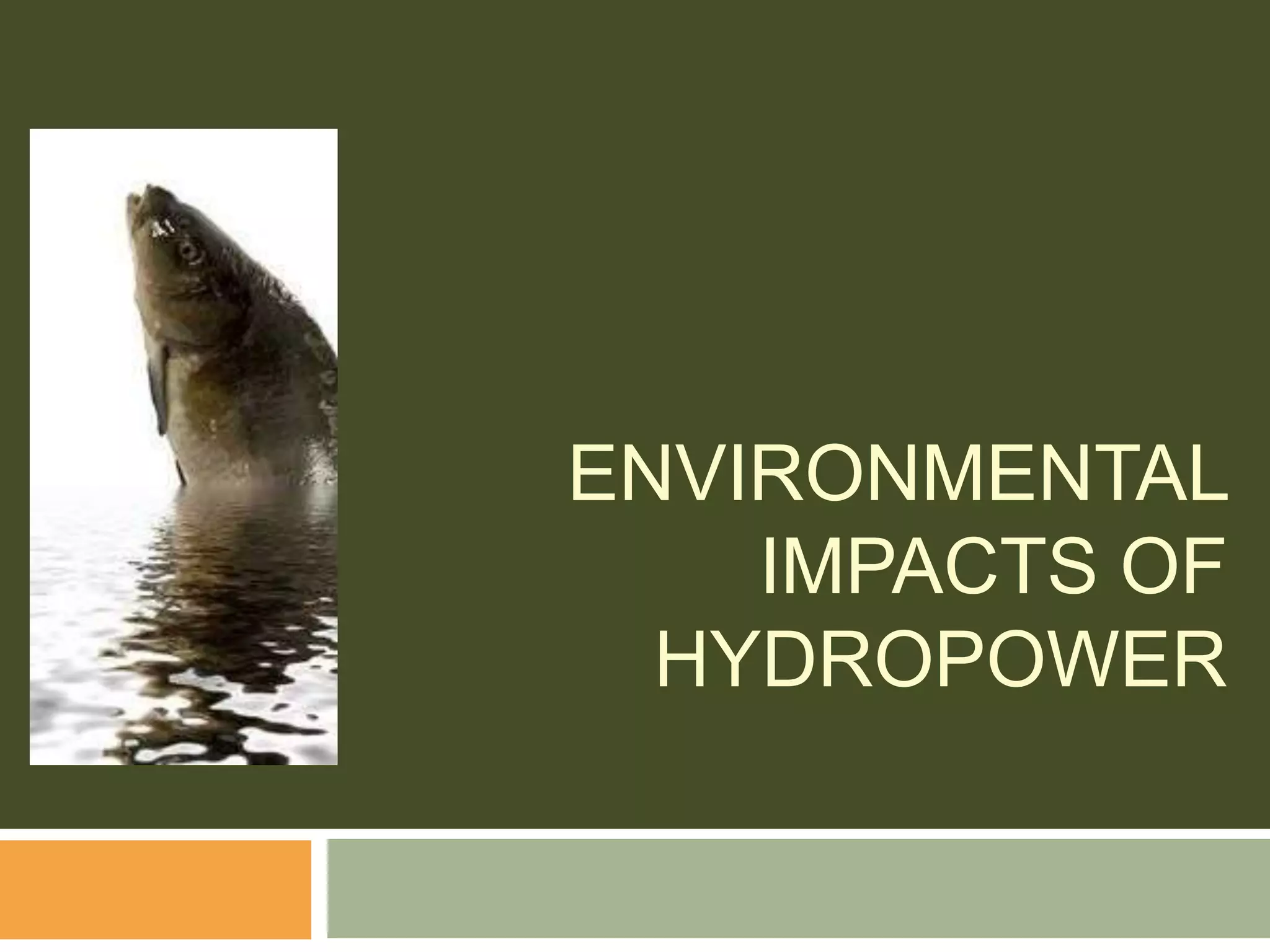 Environmental impacts of hydroelectric power | PPTX