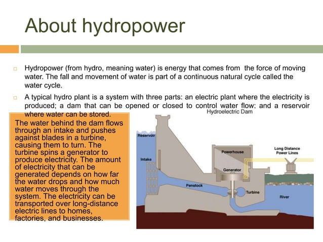 Environmental impacts of hydroelectric power | PPTX | Environment | Science
