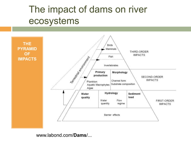 Environmental impacts of hydroelectric power | PPTX | Environment | Science