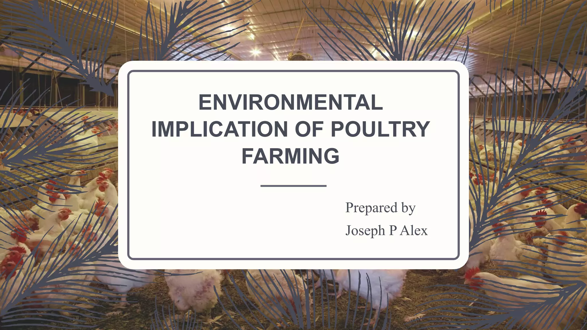 Environmental implication of poultry farming | PPTX