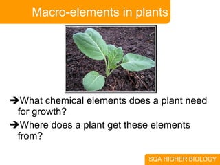 Environmental Influences | PPT