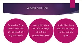 Environmental intractions of weeds | PPT