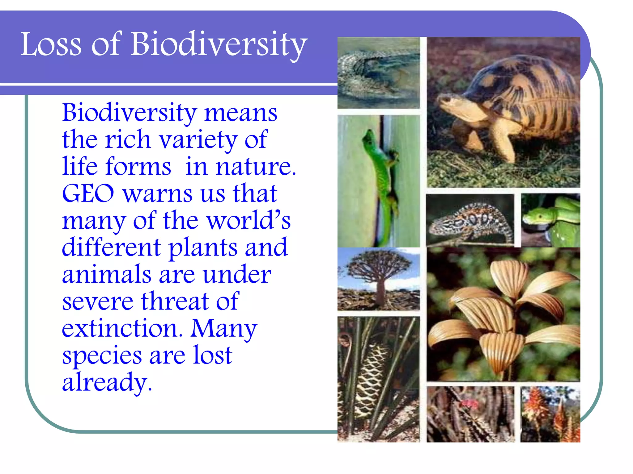 Environmental Awareness: Instilling a Sense of Hopefulness in the ...