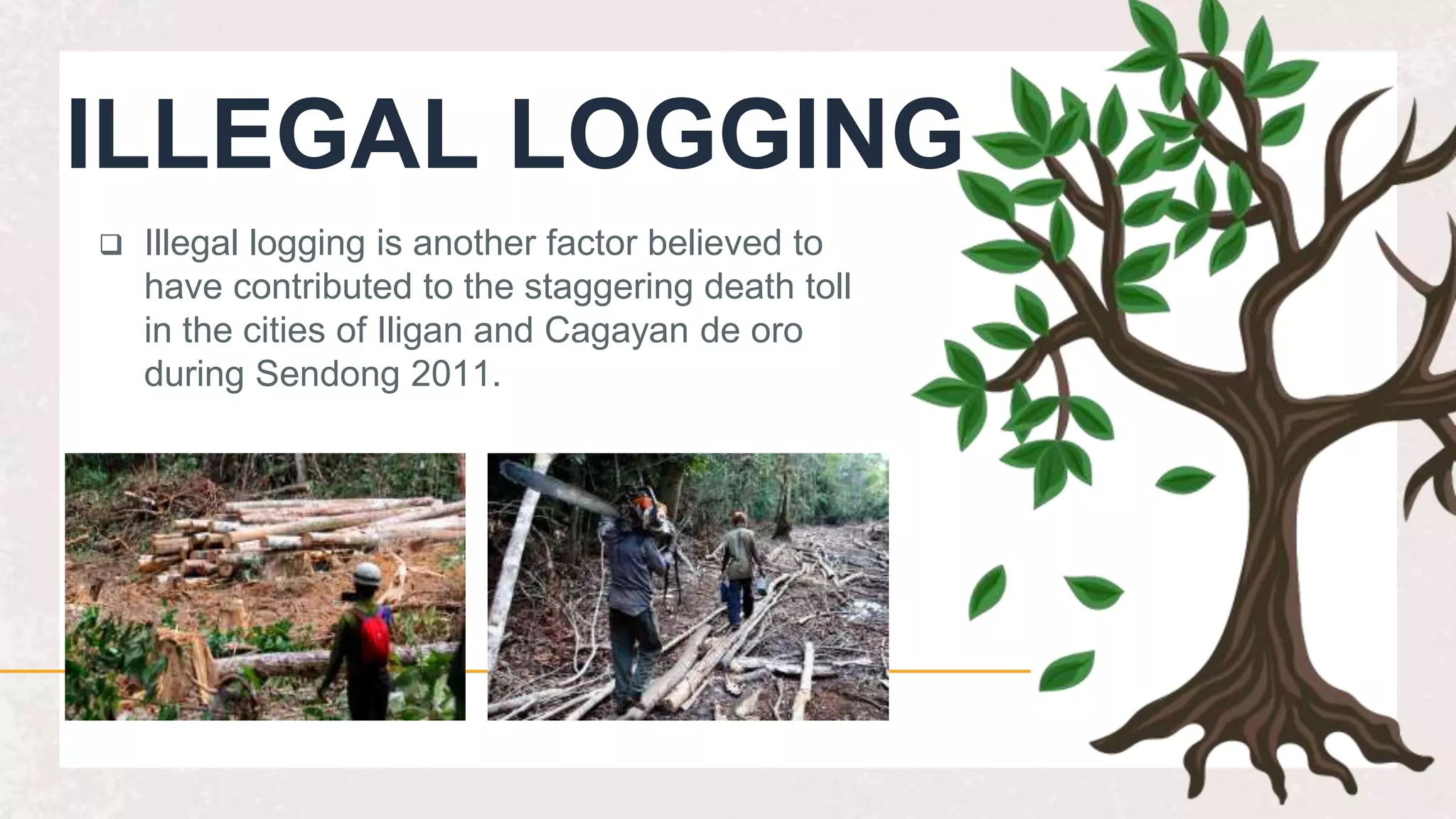 ENVIRONMENTAL ISSUE.pptx