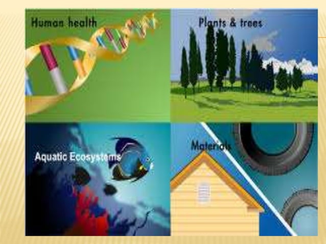 Environmental issues | PPT