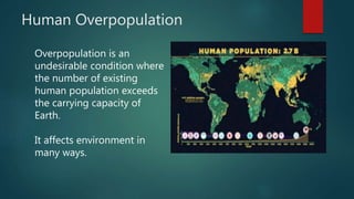 Environmental issues | PPTX