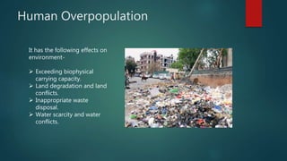 Environmental issues | PPTX