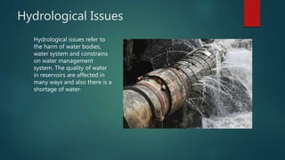 Environmental issues | PPTX