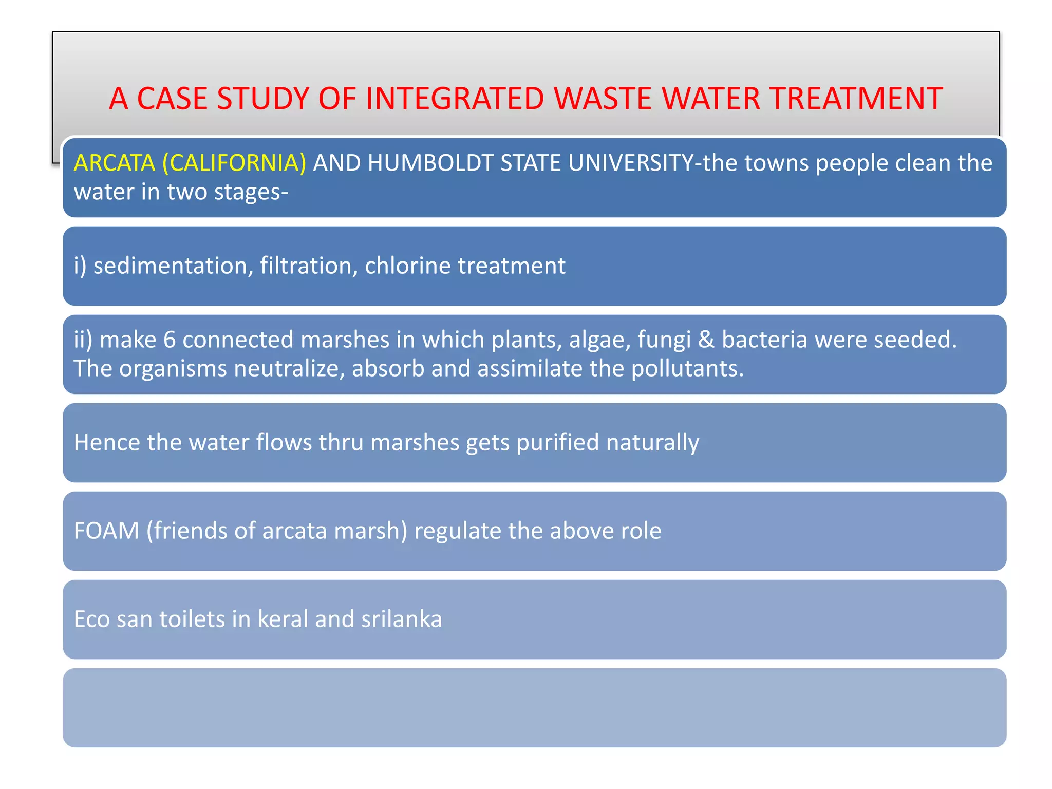 Environmental issues CLASS XII | PPTX
