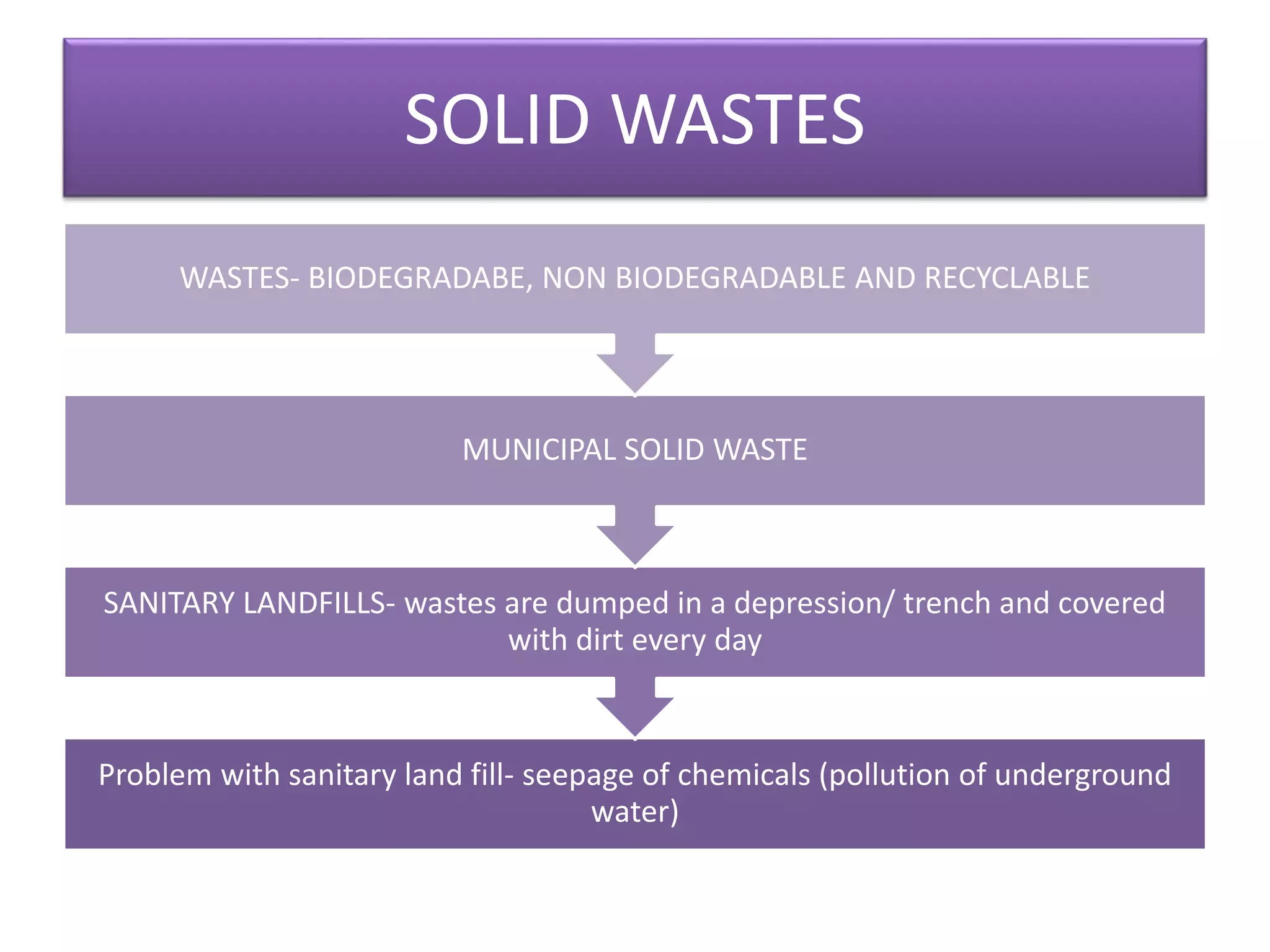 Environmental issues CLASS XII | PPTX