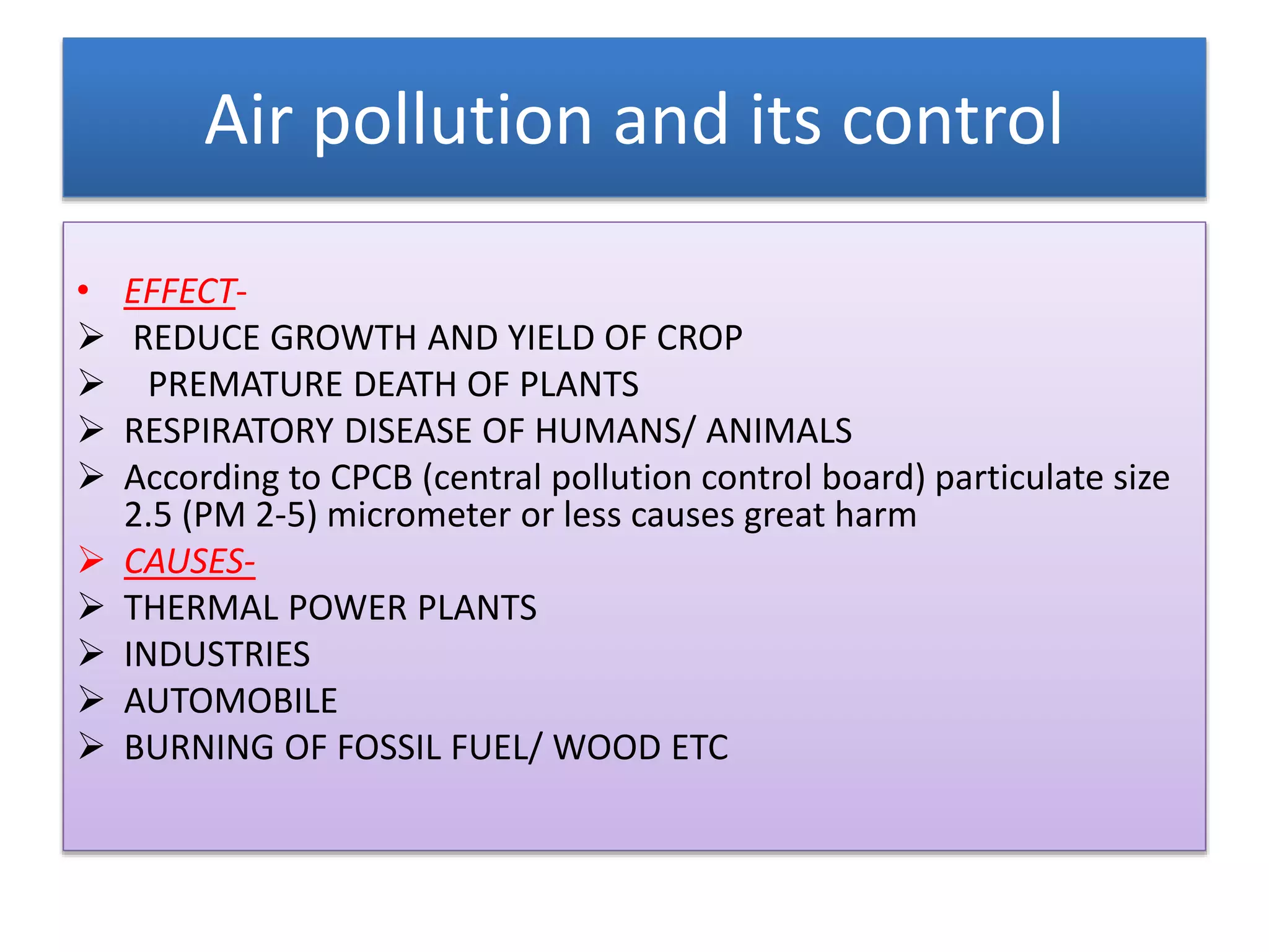 Environmental issues CLASS XII | PPTX