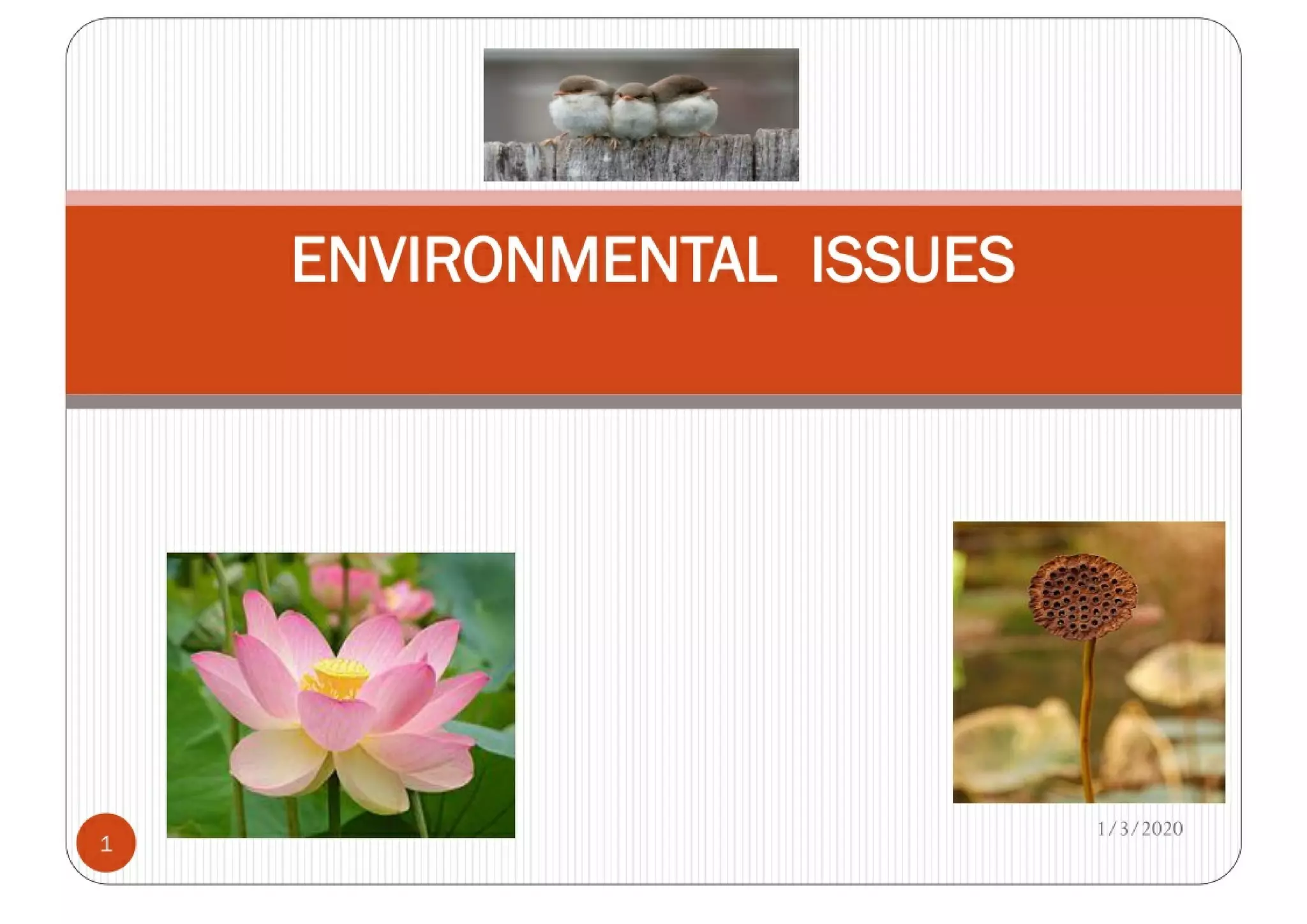 ENVIRONMENTAL ISSUES | PPT