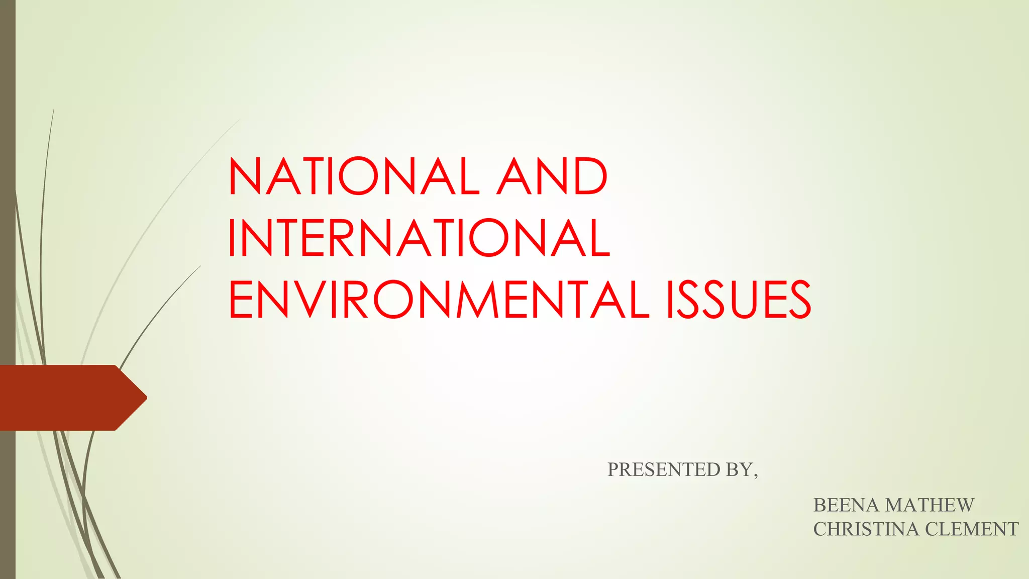 National and International Environmental issues | PPTX