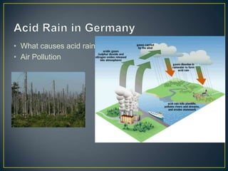 Environmental Issues of Europe | PPTX