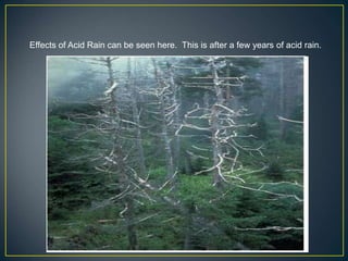 Environmental Issues of Europe | PPTX