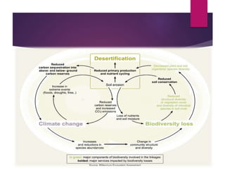 MOST IMPORTANT ENVIRONMENTAL ISSUES | PPTX