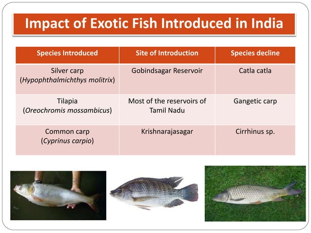 ENVIRONMENTAL ISSUES IN AQUACULTURE.pptx | Fish and Aquariums | Pets
