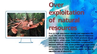 Environmental issues and hazards in slums | PPTX