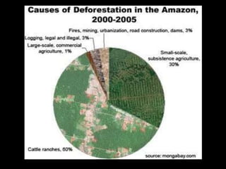 Environmental issues of latin america | PPT