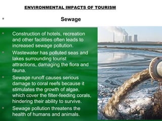Environmental issues in tourism and hospitality | PPT