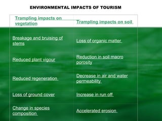 Environmental issues in tourism and hospitality | PPT
