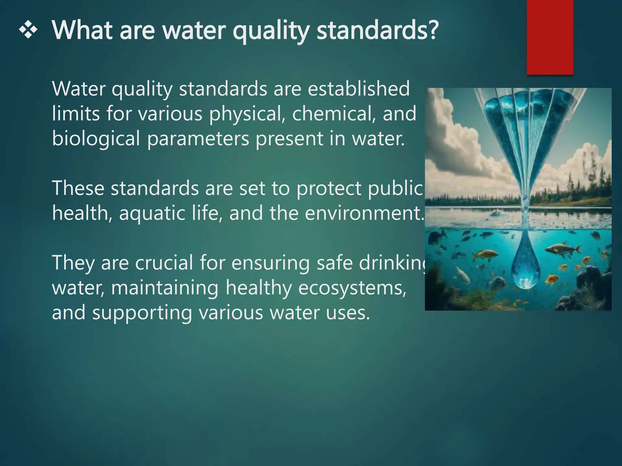 Environmental_lab_report Presentation-1.pptx