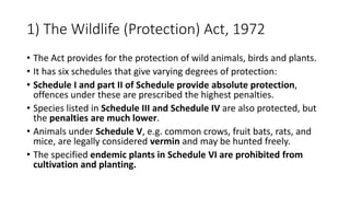 Environmental Law.pptx