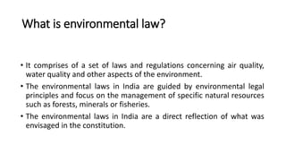 Environmental Law.pptx