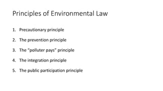 Environmental Law.pptx