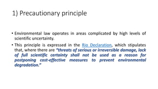Environmental Law.pptx