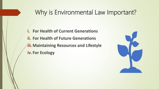 Environmental laws (international,Pakistan) | PPTX