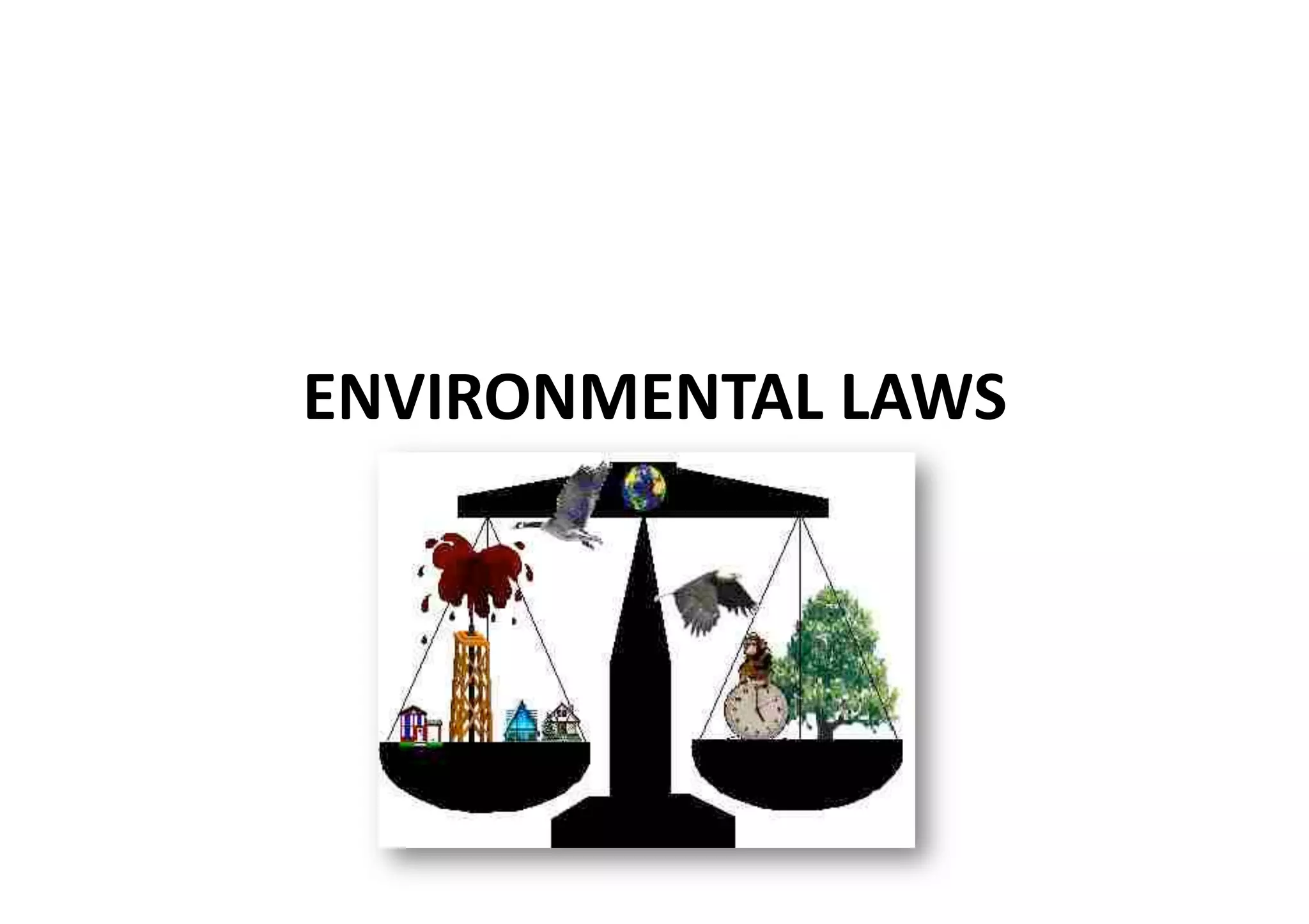 Environmental Laws | PDF