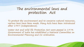 Environmental Laws Of India | PPTX