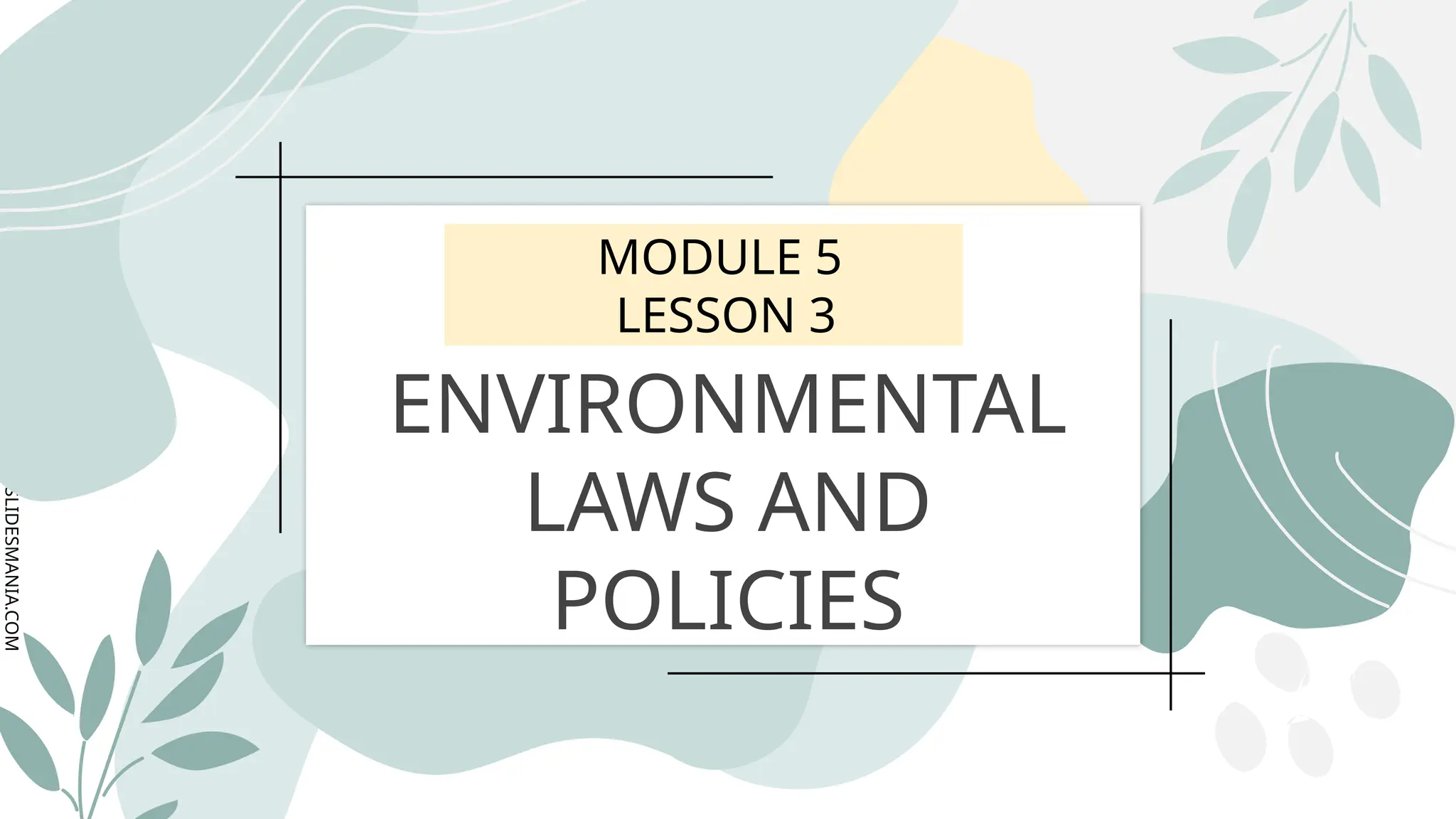 ENVIRONMENTAL LAWS AND POLICIES(people and the earth ecosystem.)pptx | PPTX