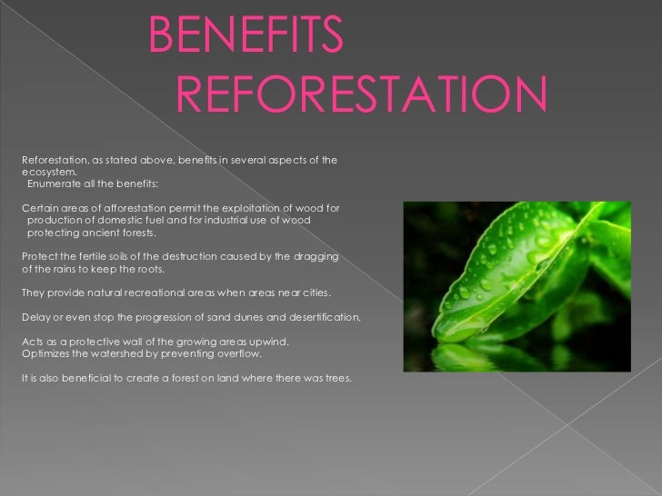 Environmental management