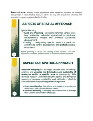 general scheme for environmental management | DOCX