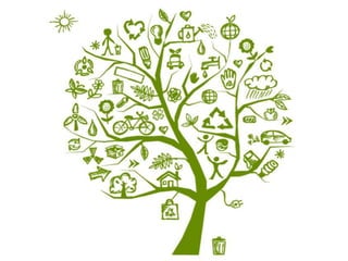 Environmental matters | PPT