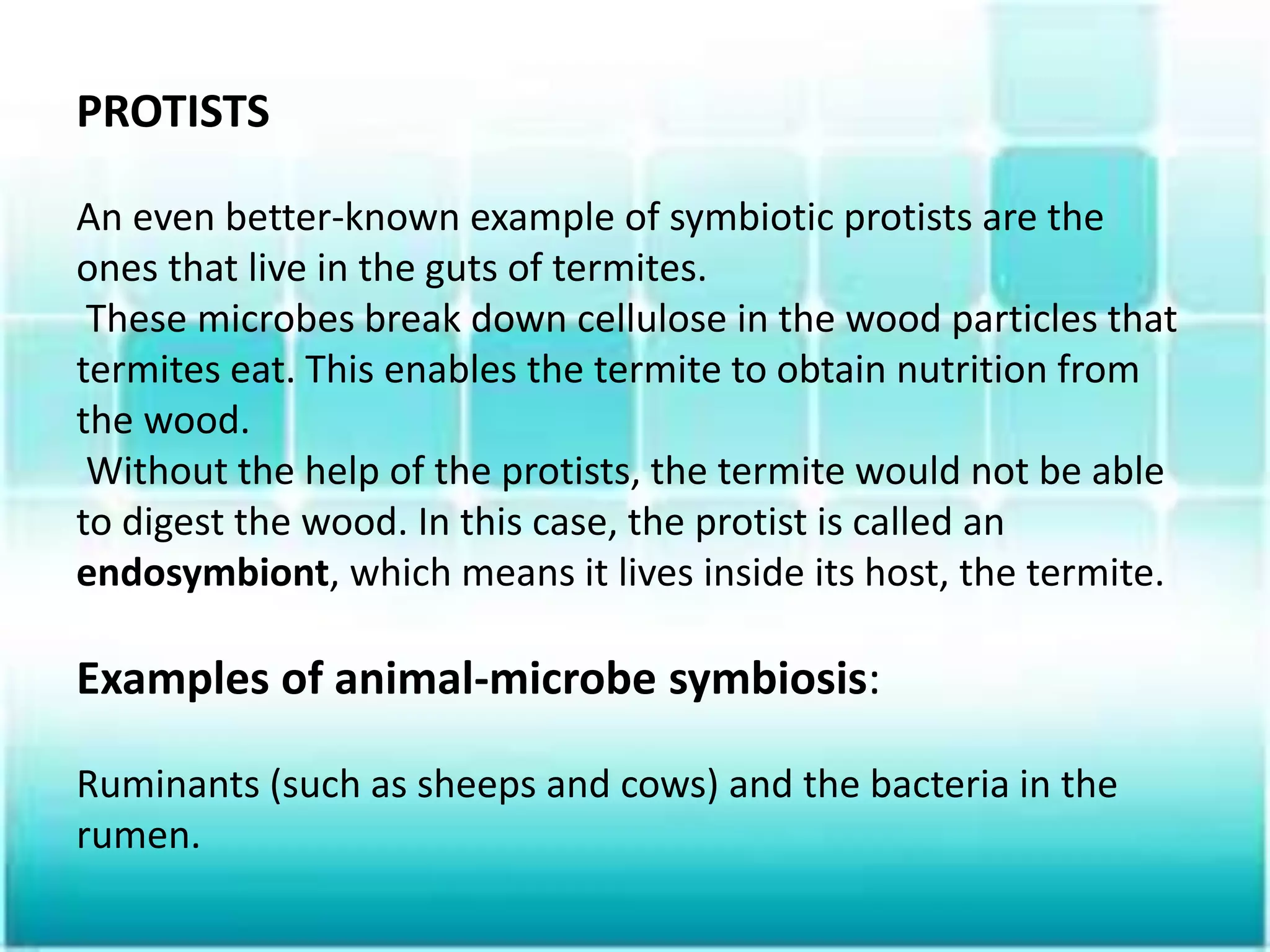 Environmental microbiology | PPTX